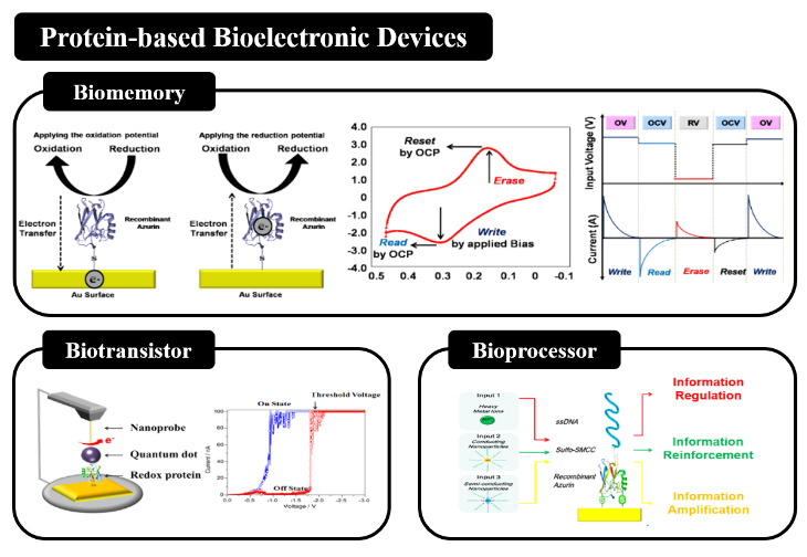서강대학교-NanoBioElectronics Lab