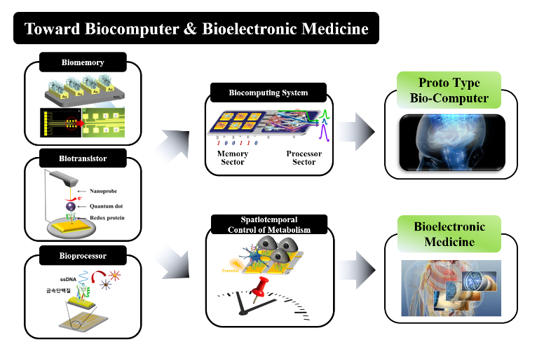 서강대학교-NanoBioElectronics Lab